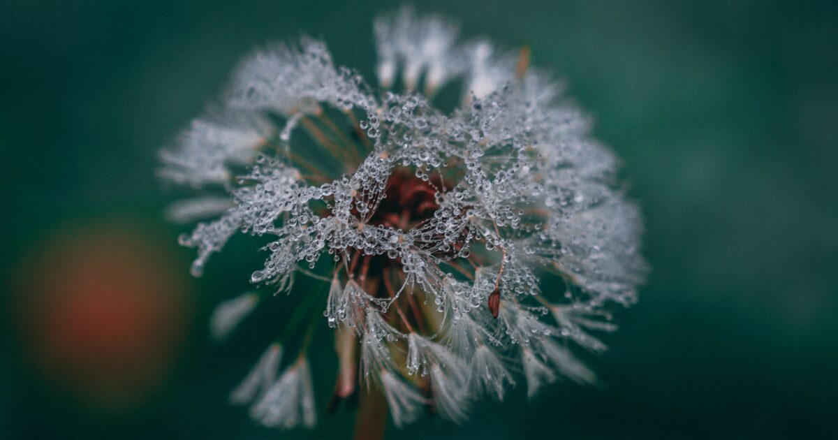 Norselab | Why impact investors should care about the EU Taxonomy’s…