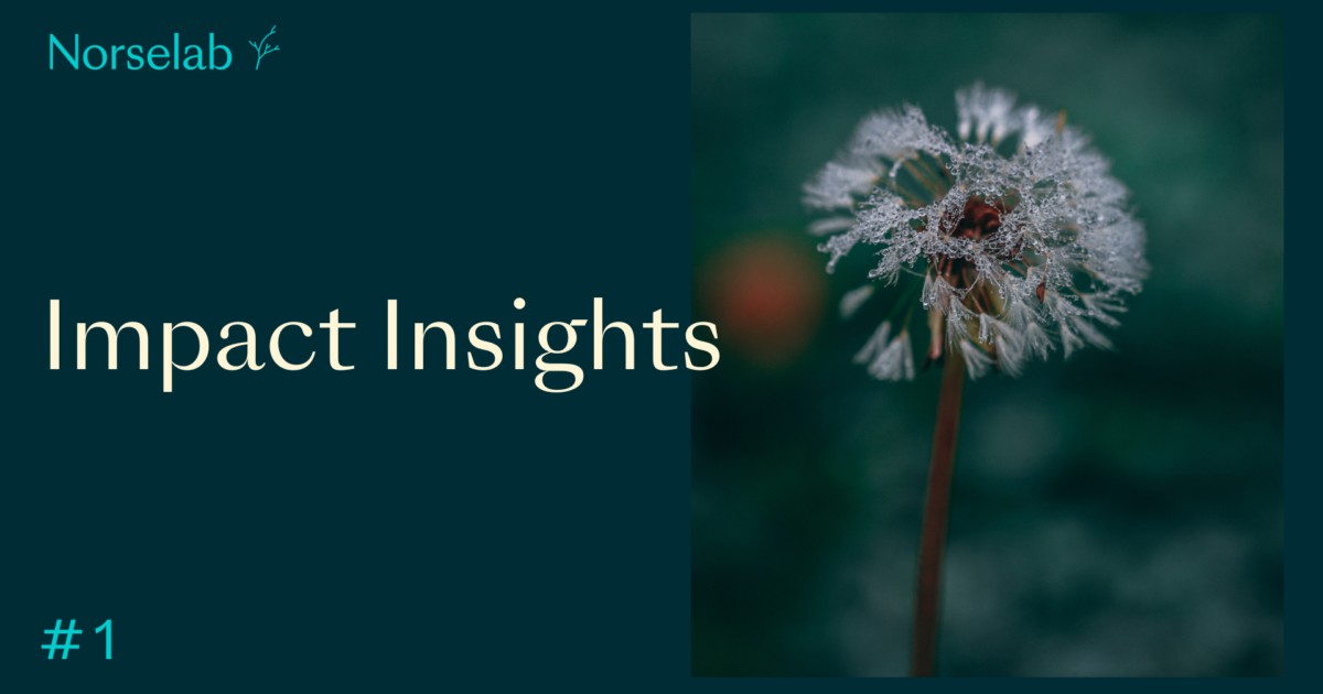 Norselab | Impact Insights #1
