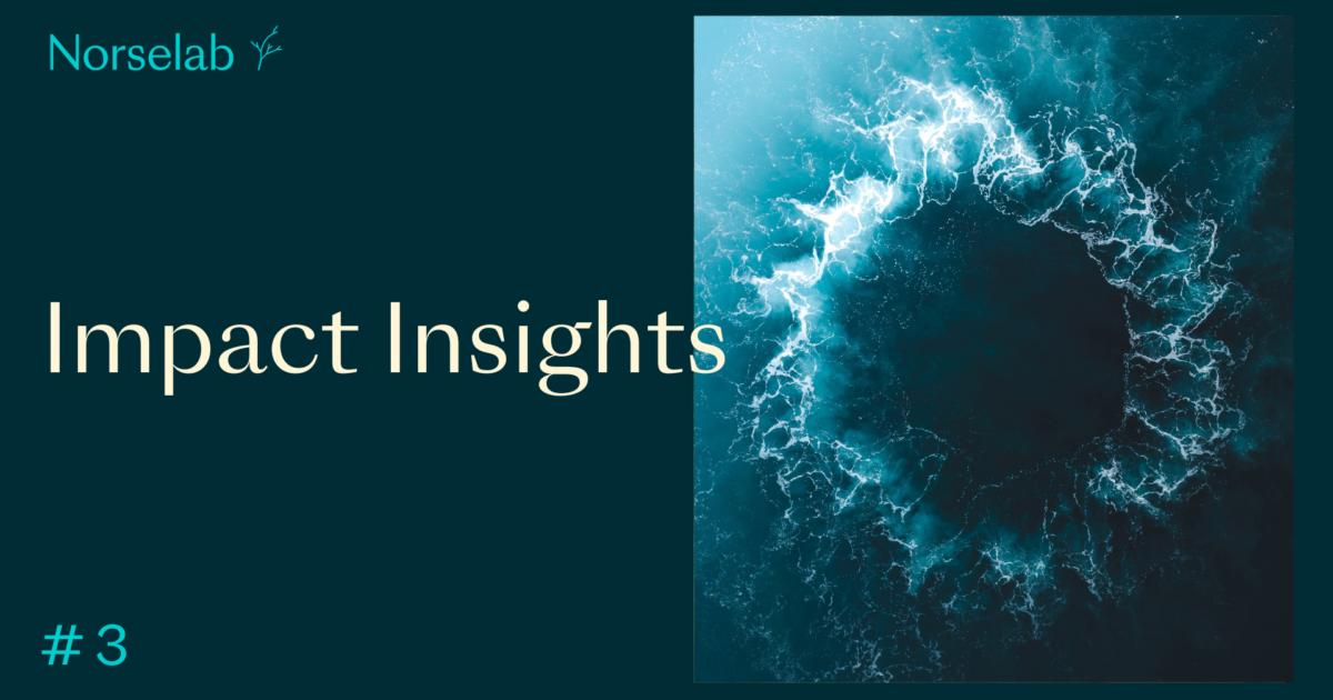 Norselab | Impact Insights #3