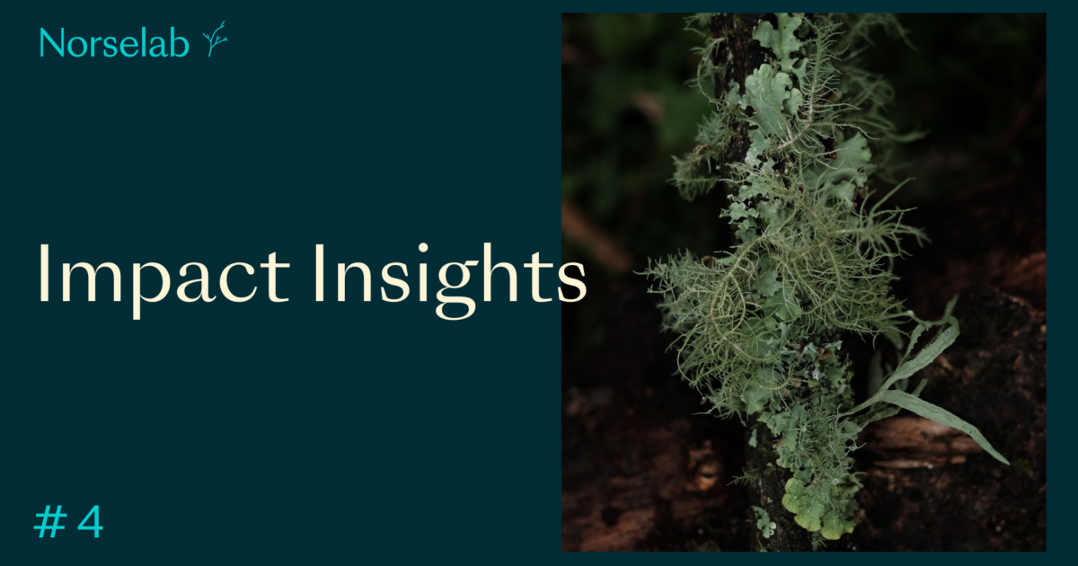 Norselab | Impact Insights #4