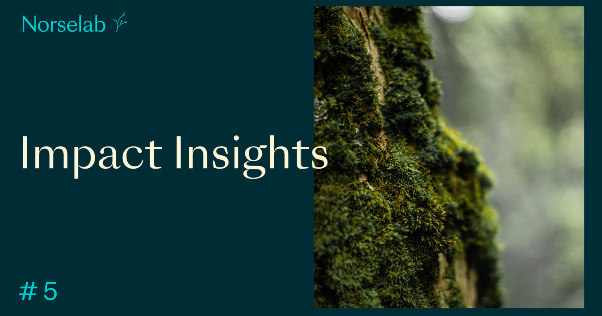 Norselab | Impact Insights #5