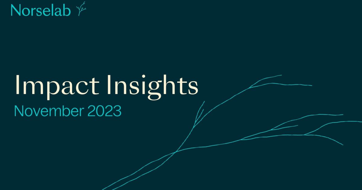Norselab | Impact Insights - November '23