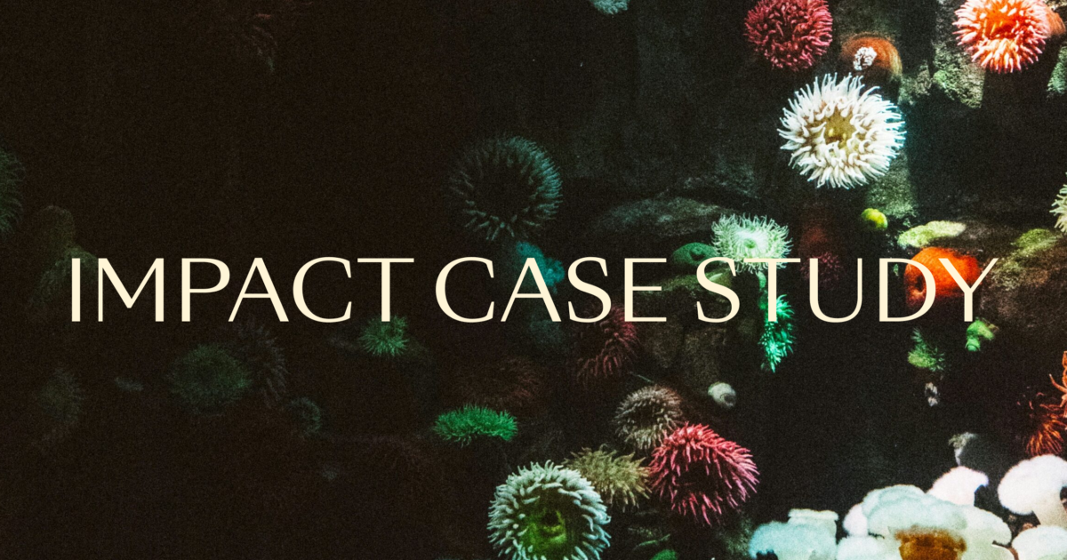 Norselab | Sustainable Seas: Ava Ocean's Game-Changing Innovation